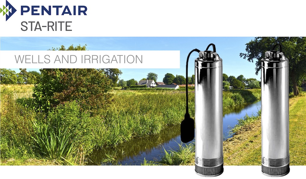 Pentair DOMINATOR 5 Submersible Multistage Pumps
